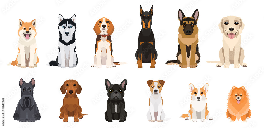 Cartoon dogs breeds set. Collection of vector illustrations isolated on ...