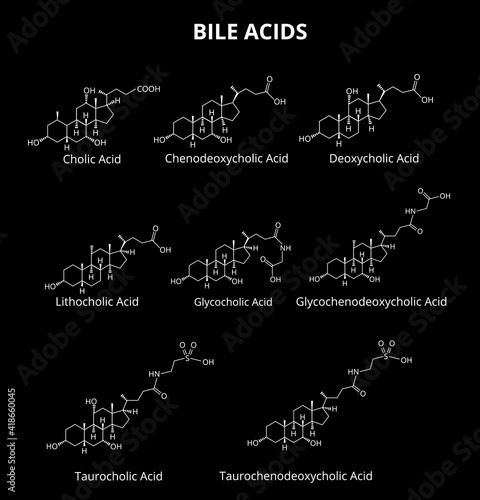 Bile acids set. Chemical molecular formula of bile acids. Vector ...