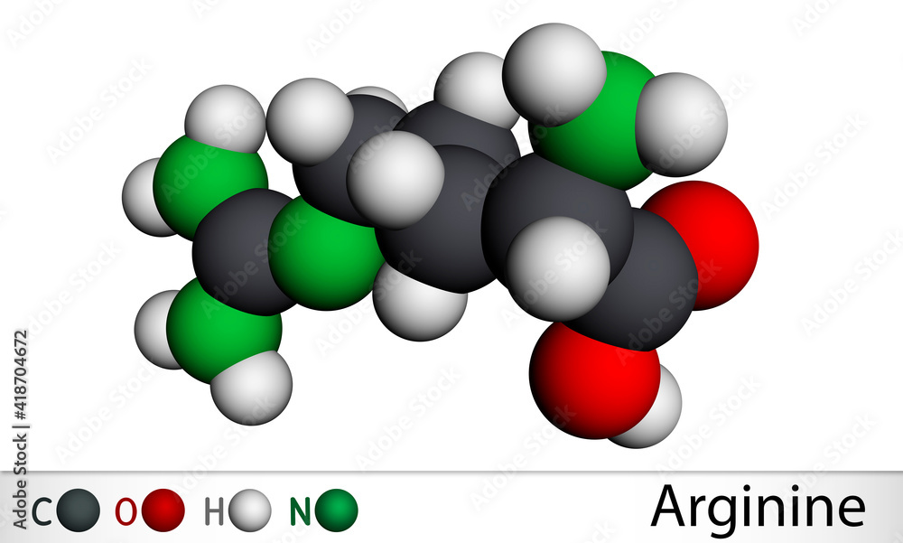 Arginine, L-arginine, Arg, R essential amino acid molecule, it is used ...