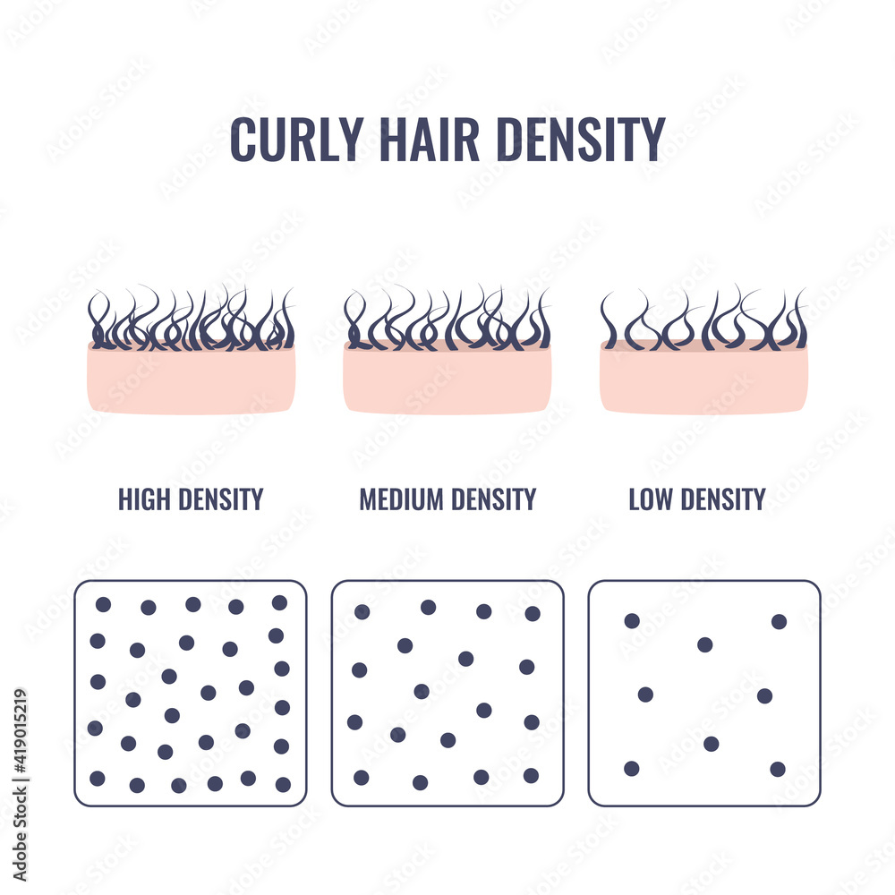 Curly hair density types classification set. Low, medium, high hair ...