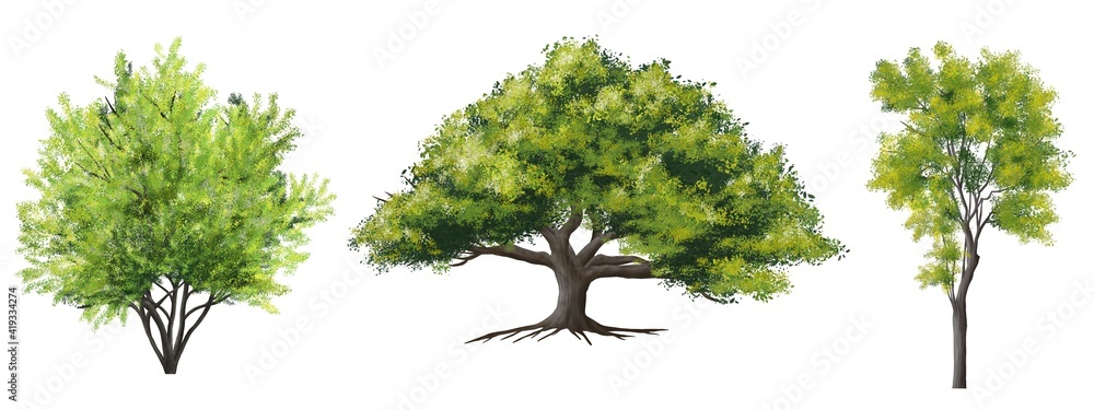 Collection of abstract watercolor green tree side view isolated on ...
