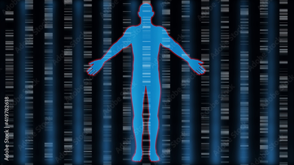 Male body in front of dna barcodes . DNA barcoding , scan , analysis ...