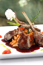 Tomato Rust Free Stock Photo - Public Domain Pictures