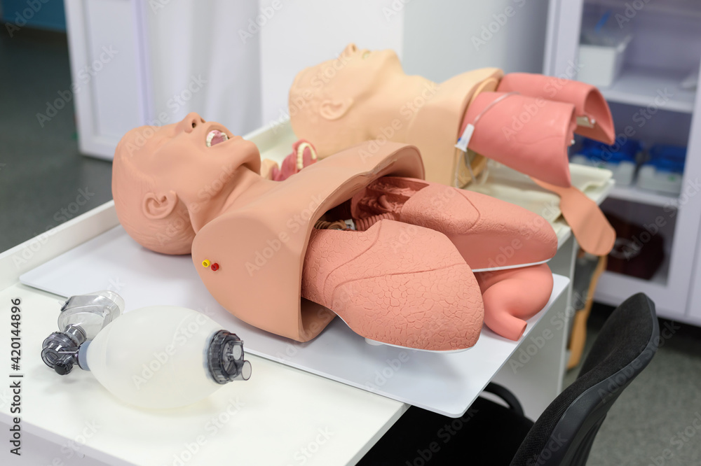 Medical simulators for training students and doctors, anesthesiologists ...