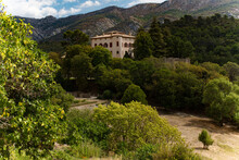 Picasso Forest Free Stock Photo - Public Domain Pictures