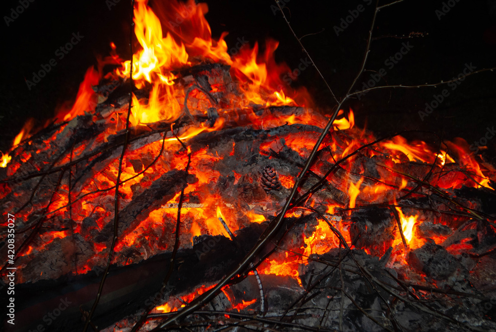 Photo Stock Burning bonfire on Novruz. Firewoods on fire. A dying fire ...