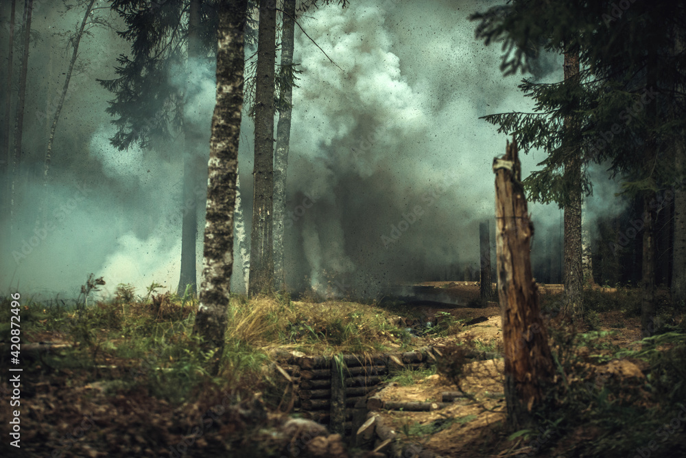 The explosion of a shell in the forest against the background of the ...