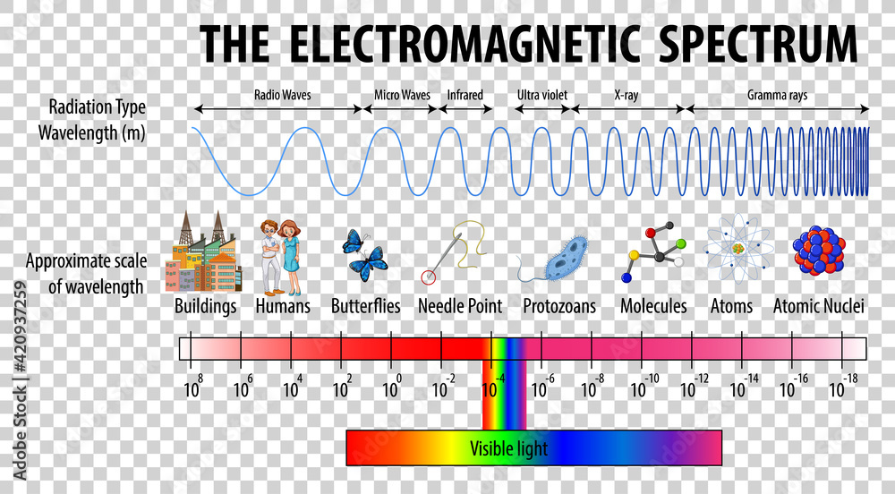 Science Electromagnetic Spectrum diagram on transparent background ...