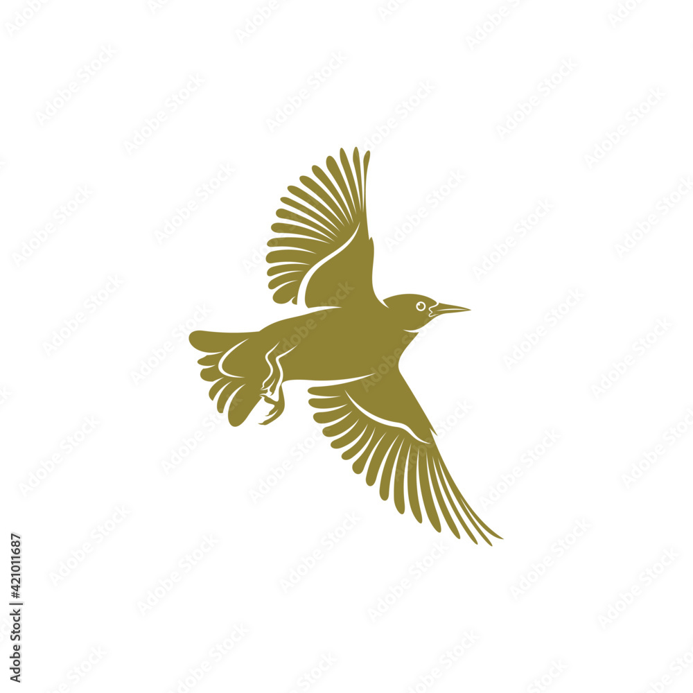 Starling bird design vector illustration, Creative Starling bird logo ...