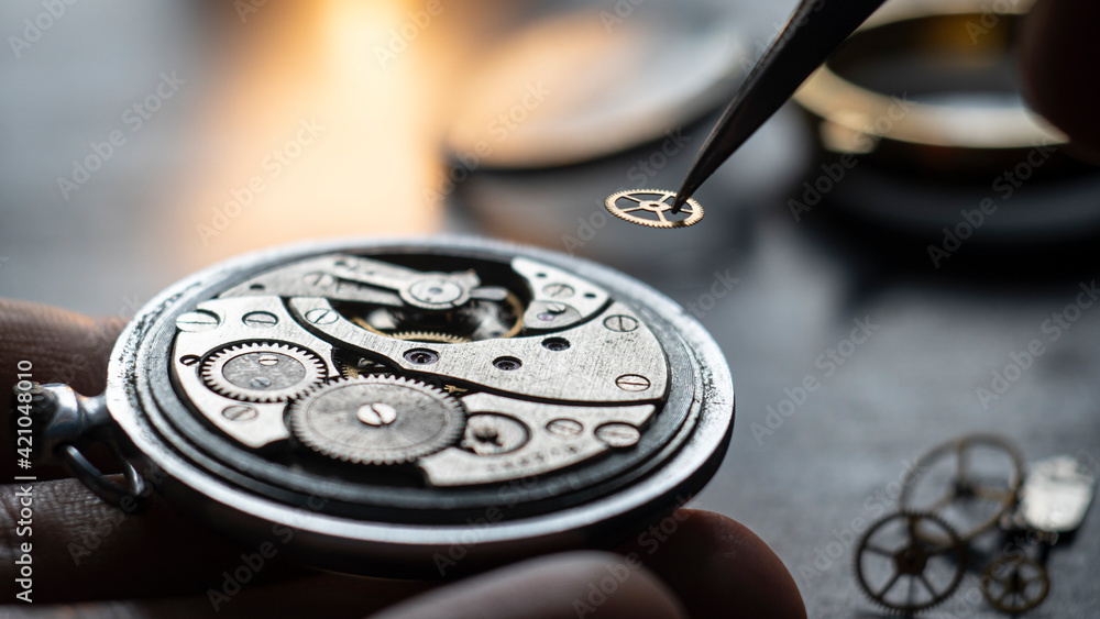 Mechanical watch repair process. Watchmaker Stock Photo | Adobe Stock