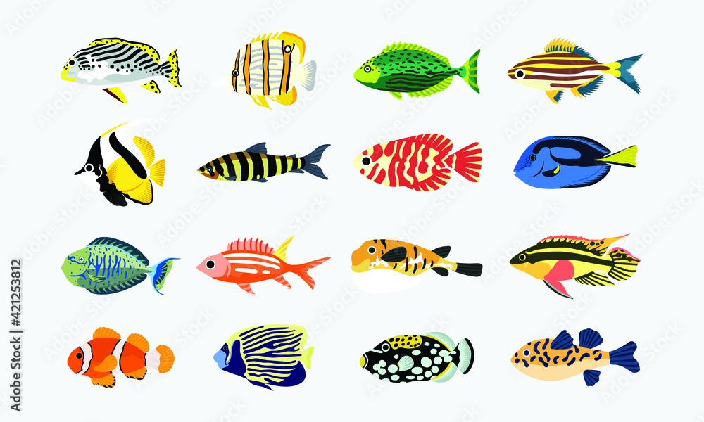 collection set of coral fish illustration. the hand drawing of under ...