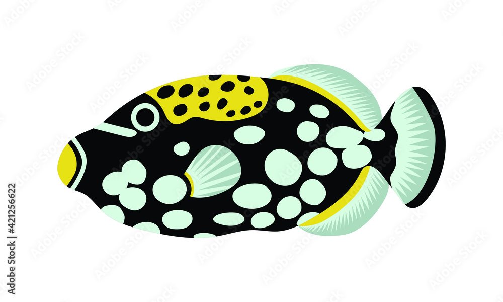 clown triggerfish. collection set of coral fish illustration. the hand ...