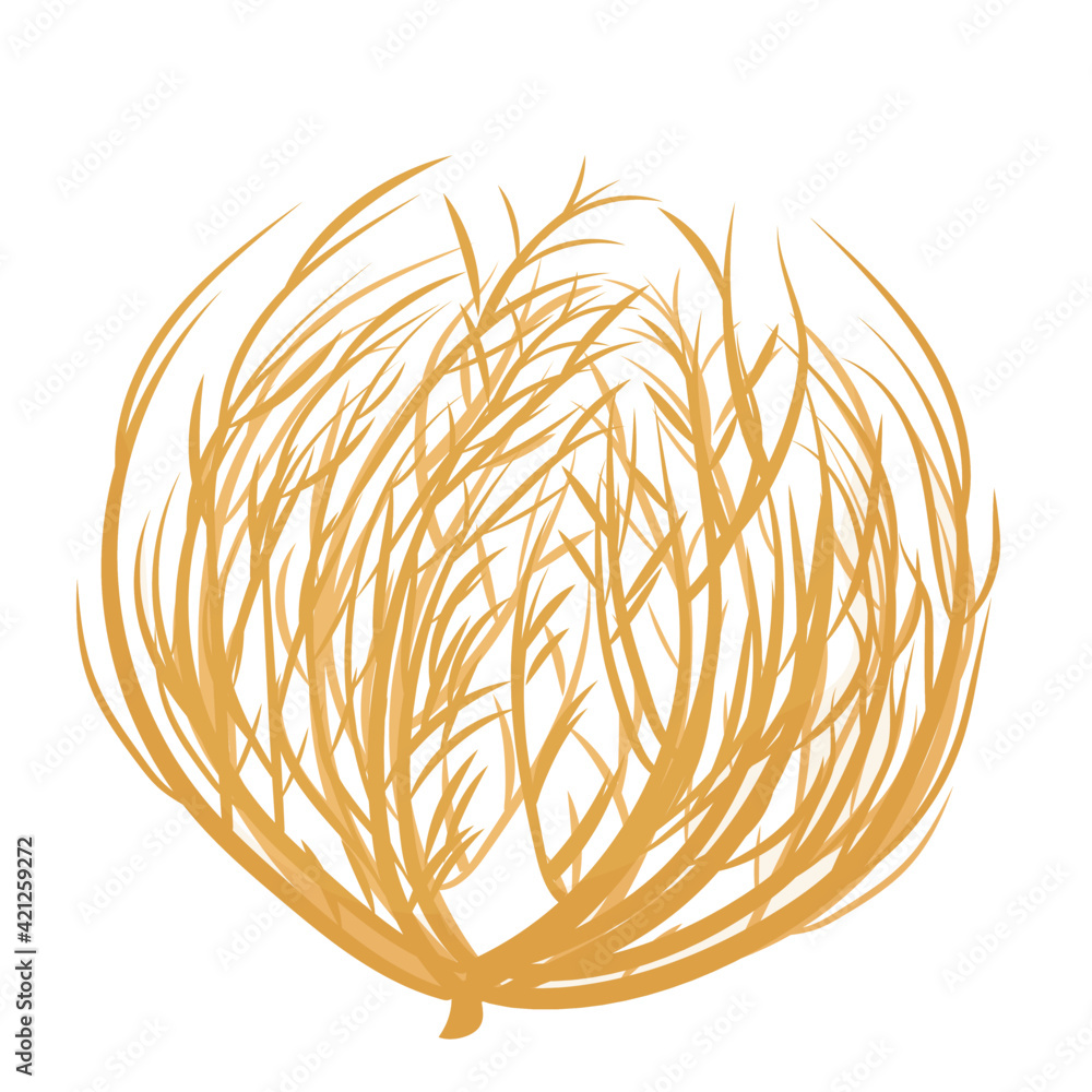 Tumbleweed in cartoon style, flat isolated on white background. Dry old bush, plant, circle ...
