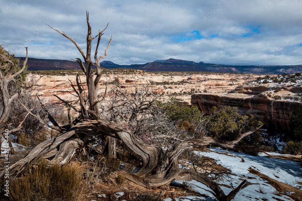 dramatic landscape photo of natural bridges, canyons and desert like ...