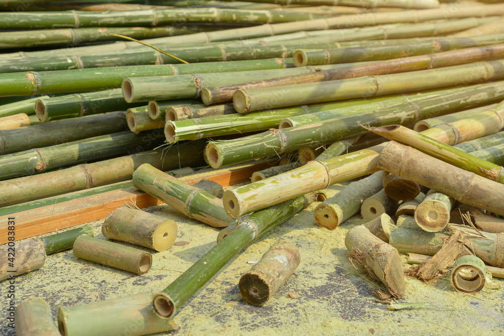 Bamboo trunk is commonly used to make bales of rice, home appliances ...