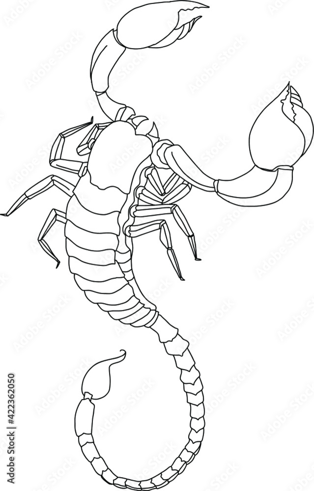 scorpio tattoo design, zentangle of scorpion isolated on white. Vector ...