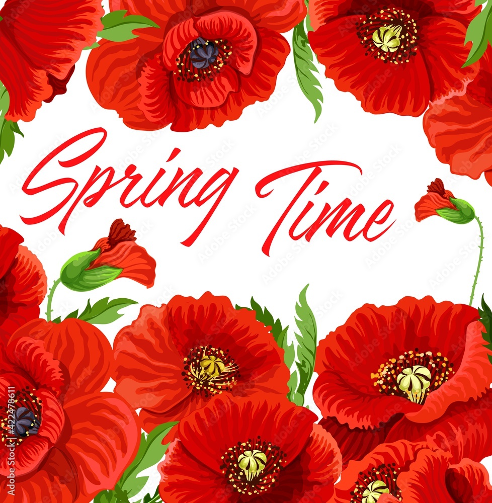 Spring time poster with flowering plants. Red or common poppy flowers ...