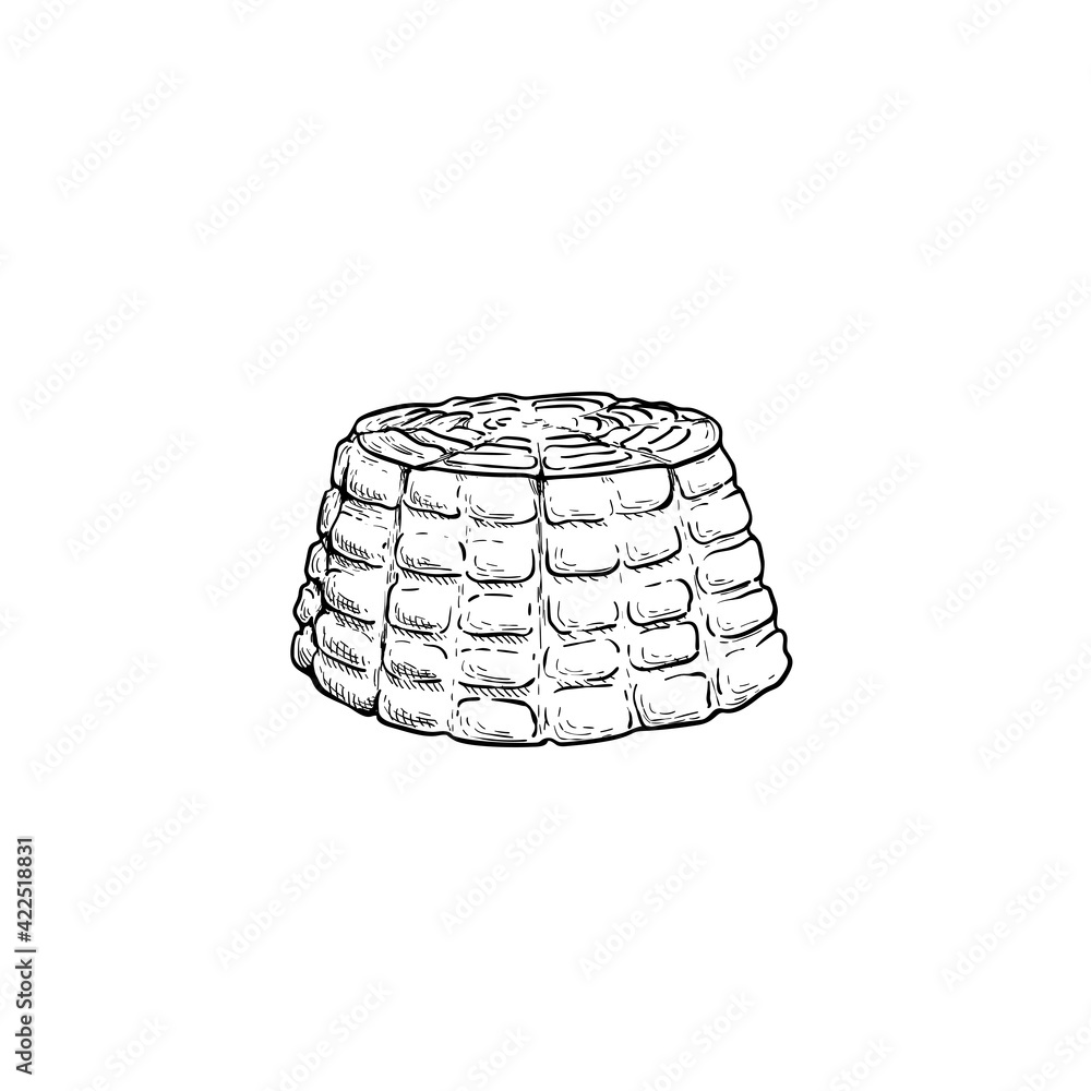Ricotta cheese. Hand drawn sketch style drawing of traditional Italian ...
