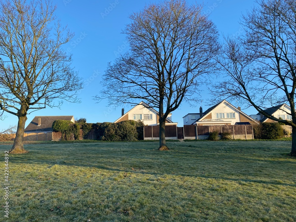 Sunrise with houses and trees in a frosty winter day, sunny morning ...