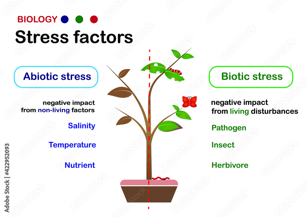 Biology diagram explain stress factor (biotic and abiotic stress) on ...
