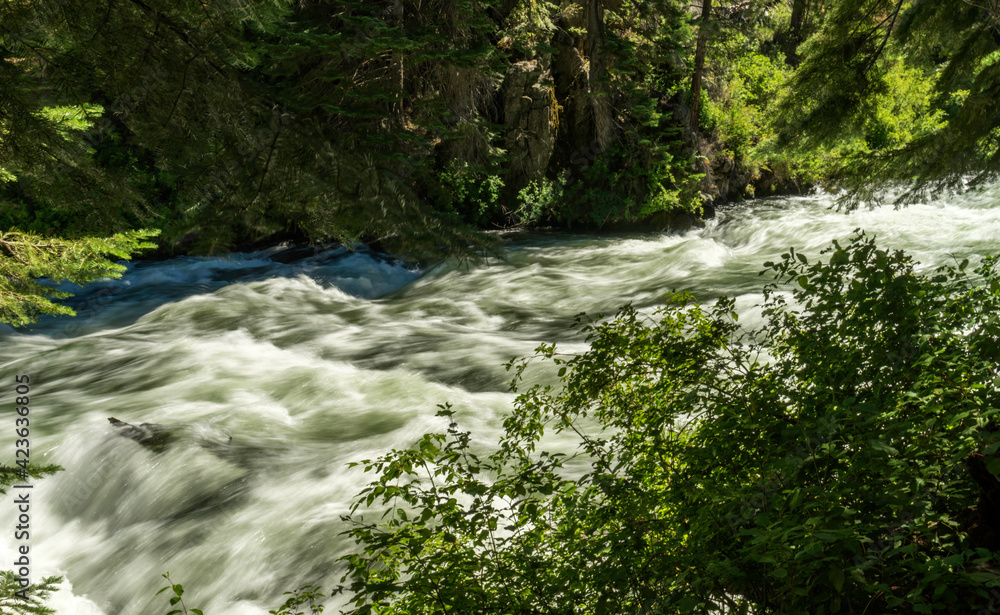 La Pine State Park along the Deschutes River, Oregon Stock Photo ...