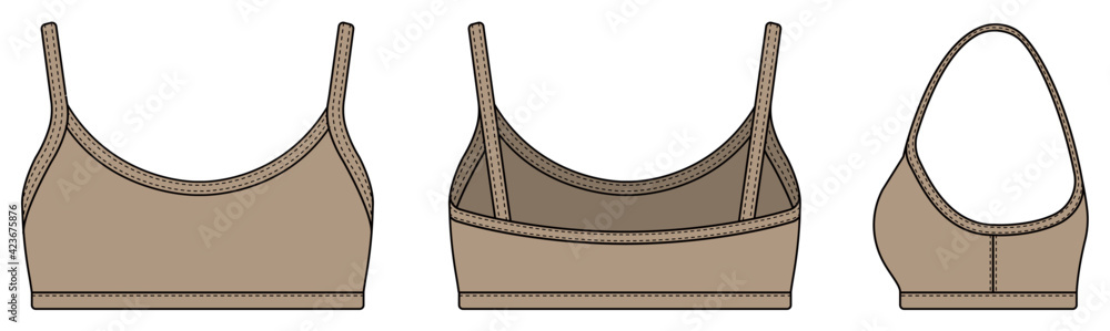 Women’s sports bra template vector illustration ( front, back, side ...