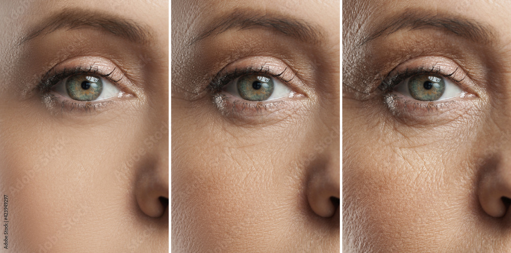Comparison of young, middle aged and elderly age. Stock Photo | Adobe Stock