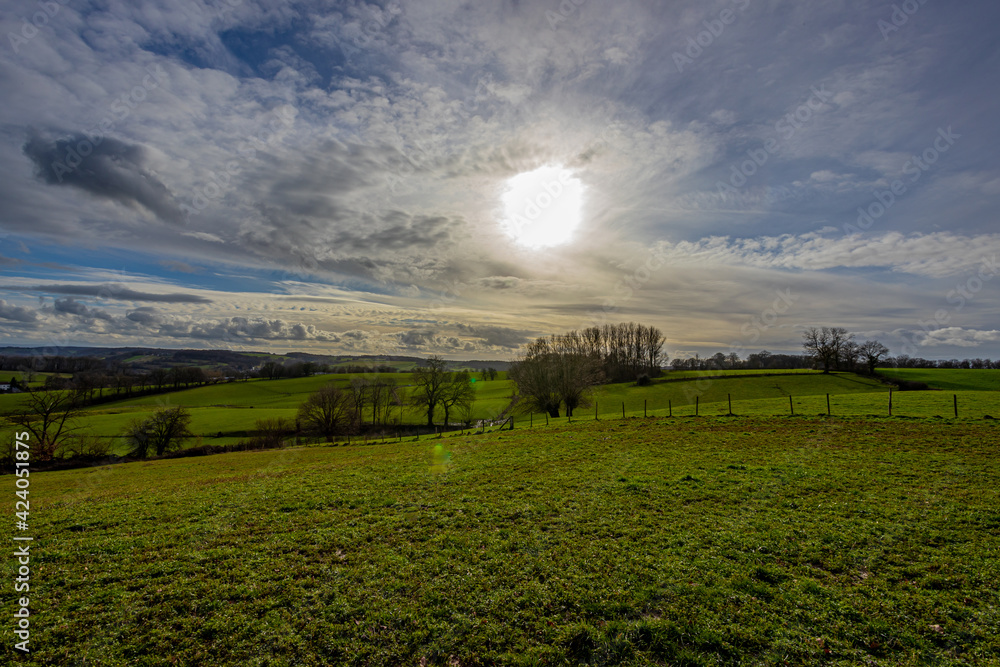 Stock-Foto „Hills with green grass, bare trees in the Dutch ...
