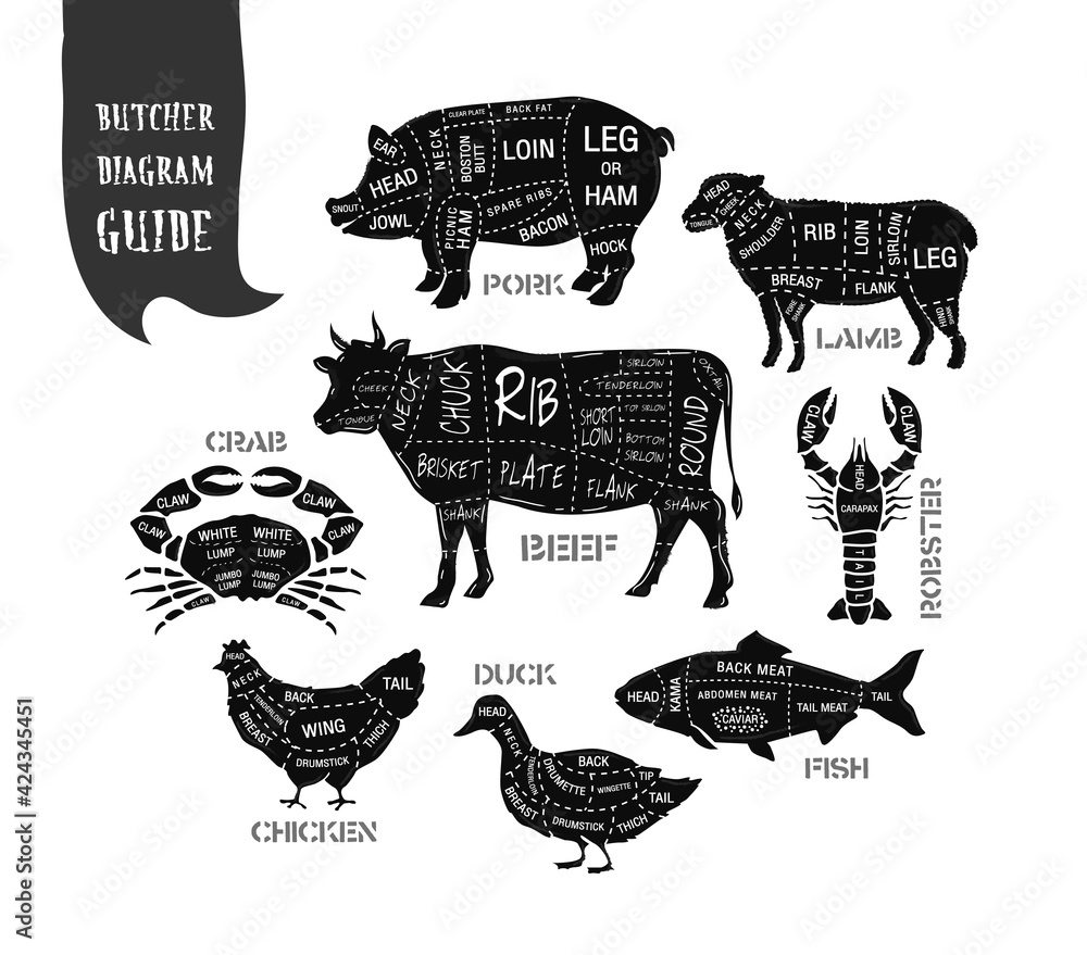 Butcher guide. Meat cuts scheme, beef, chicken, fish and shrimp ...