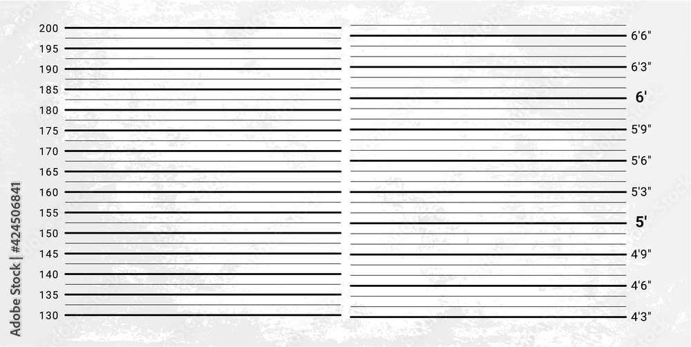 Mugshot background. Police wall with height measuring scale Stock ...