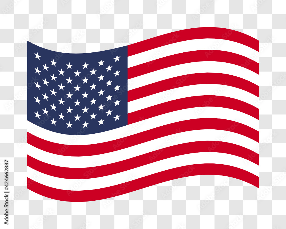 United States Of America National Flag Symbols American Usa Vector