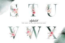 Letter A Floral Initial Free Stock Photo - Public Domain Pictures