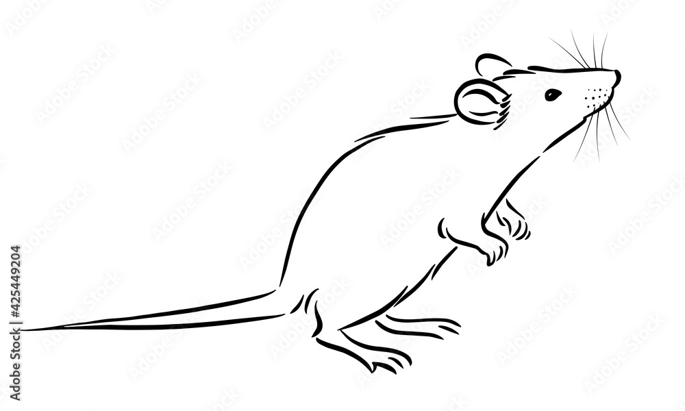 Rat sketch image on white background Stock Vector | Adobe Stock