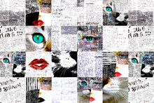 Grunge Collage Cat Poster Free Stock Photo - Public Domain Pictures