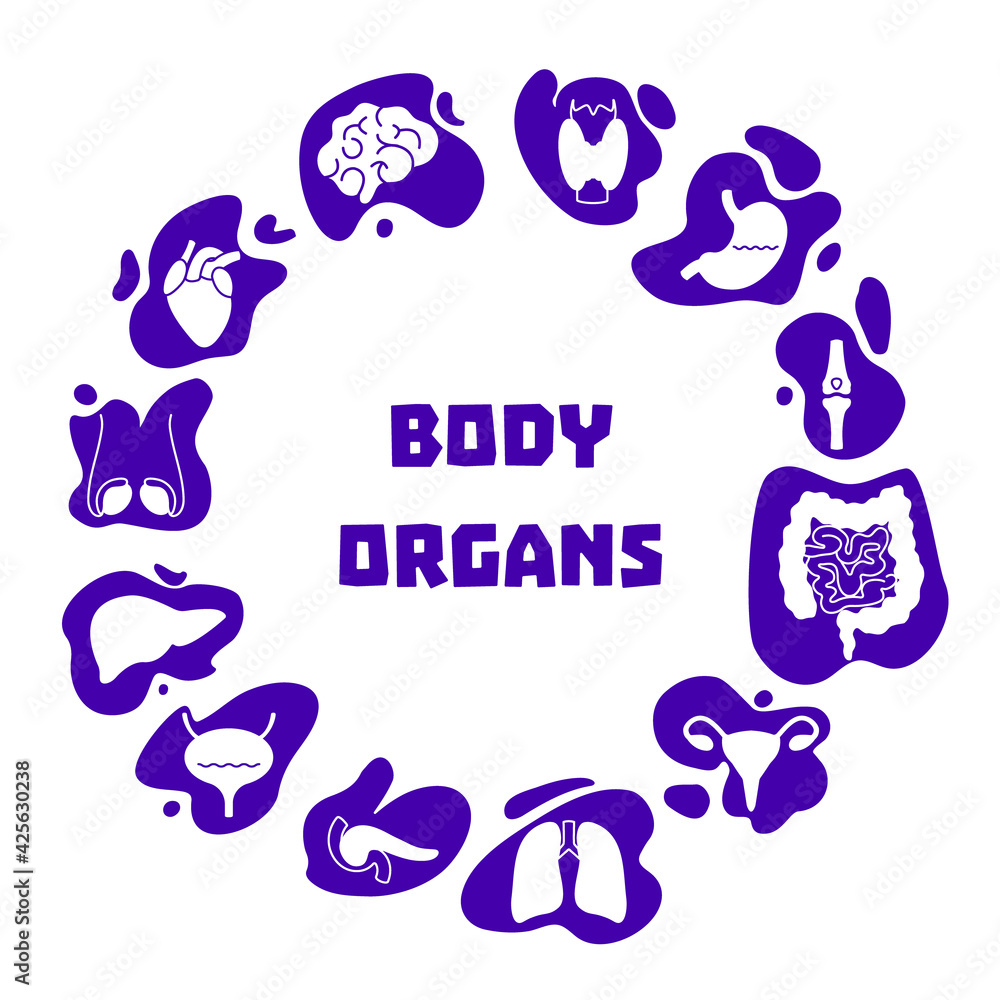Body organs silhouette icon set. Anatomy pictograms on geometric spots ...