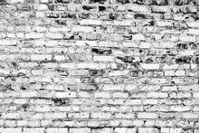 CANNED Brick Wall Free Stock Photo - Public Domain Pictures