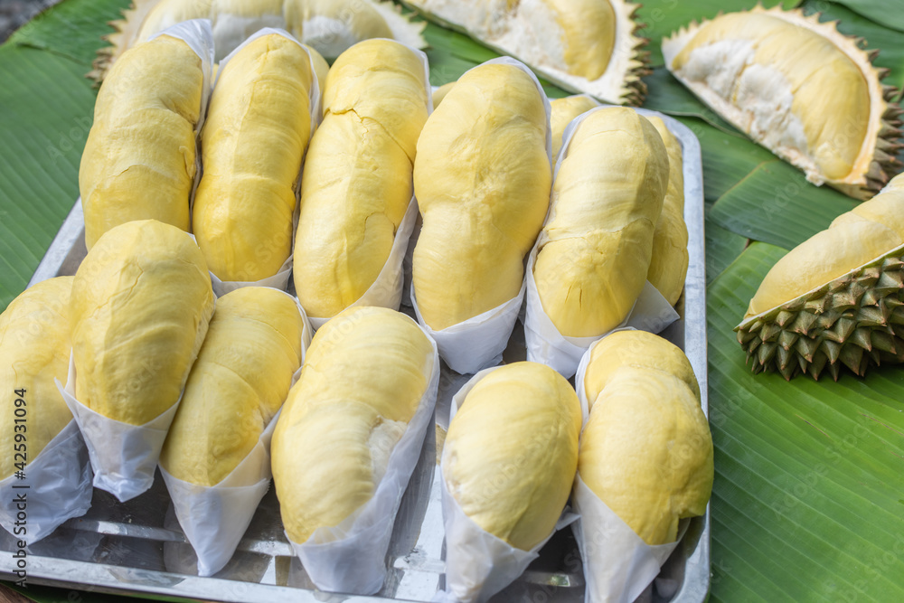 The golden yellow durian is placed on a stainless steel tray with a ...