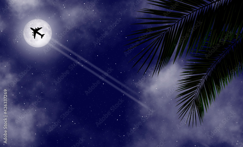 Tropical night banner background. Tropical palm leaves and and a flying ...