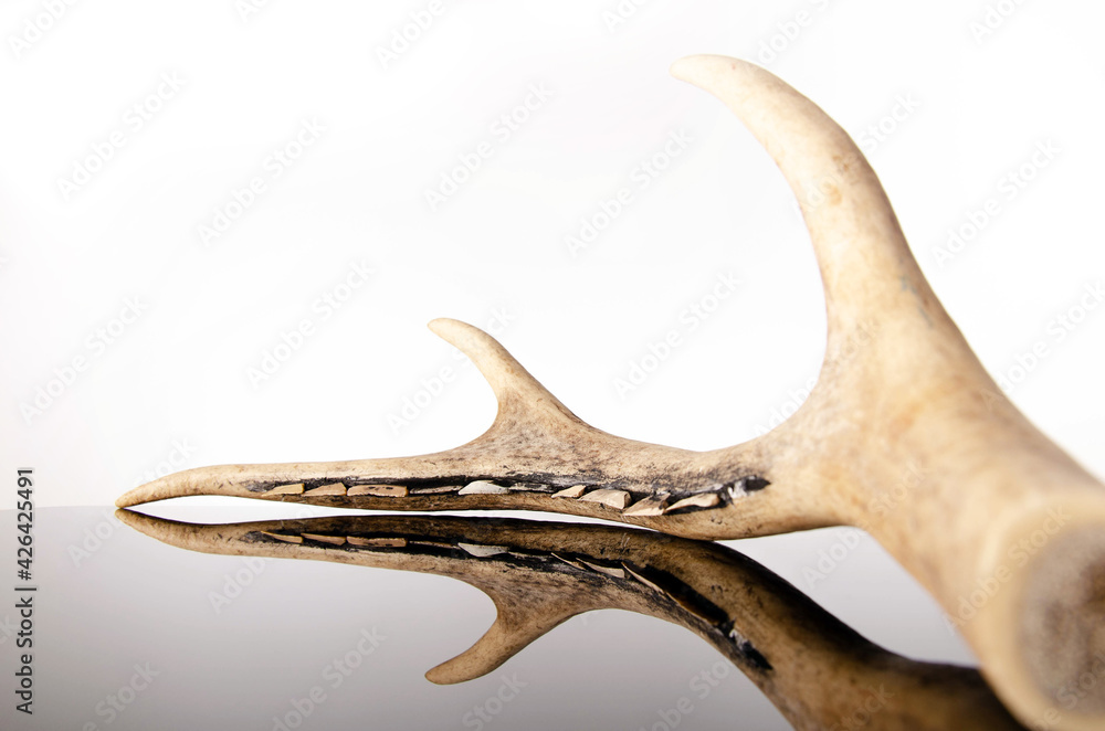 small microliths of flint from the stone age, paleolithic period ...