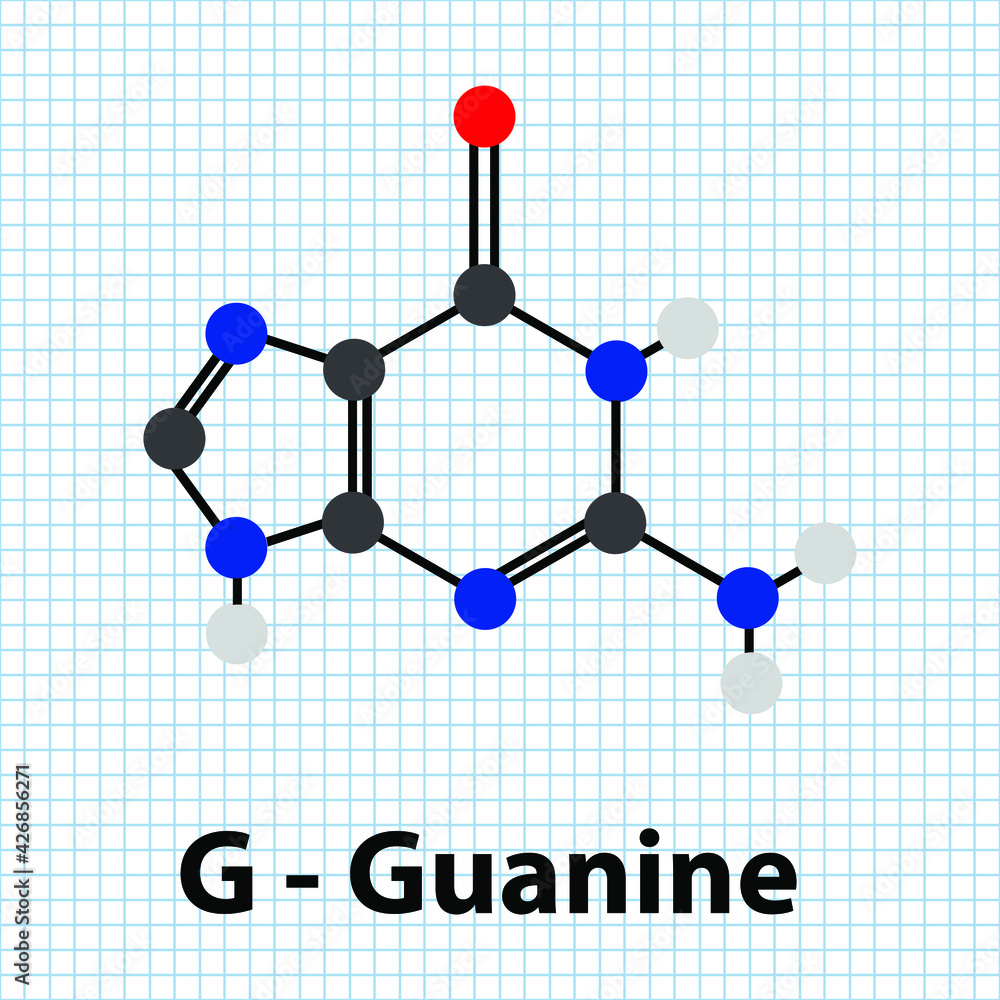 G - Guanine Nitrogenous base molecular structure. DNA nucleotide base ...