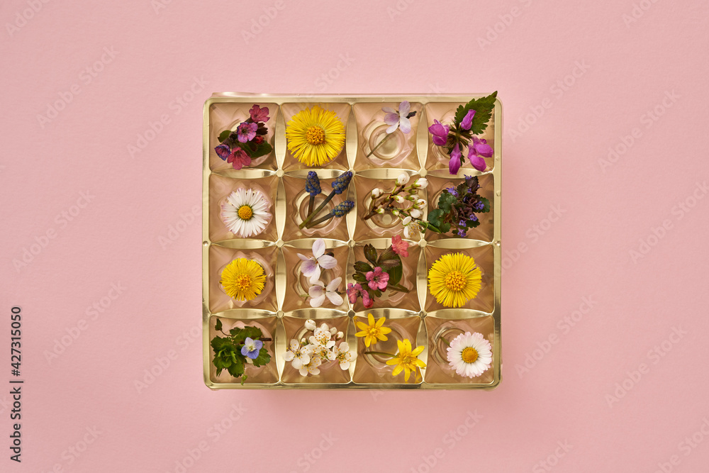 Lungwort, coltsfoot, violet, purple dead-nettle, common daisy, ground ...