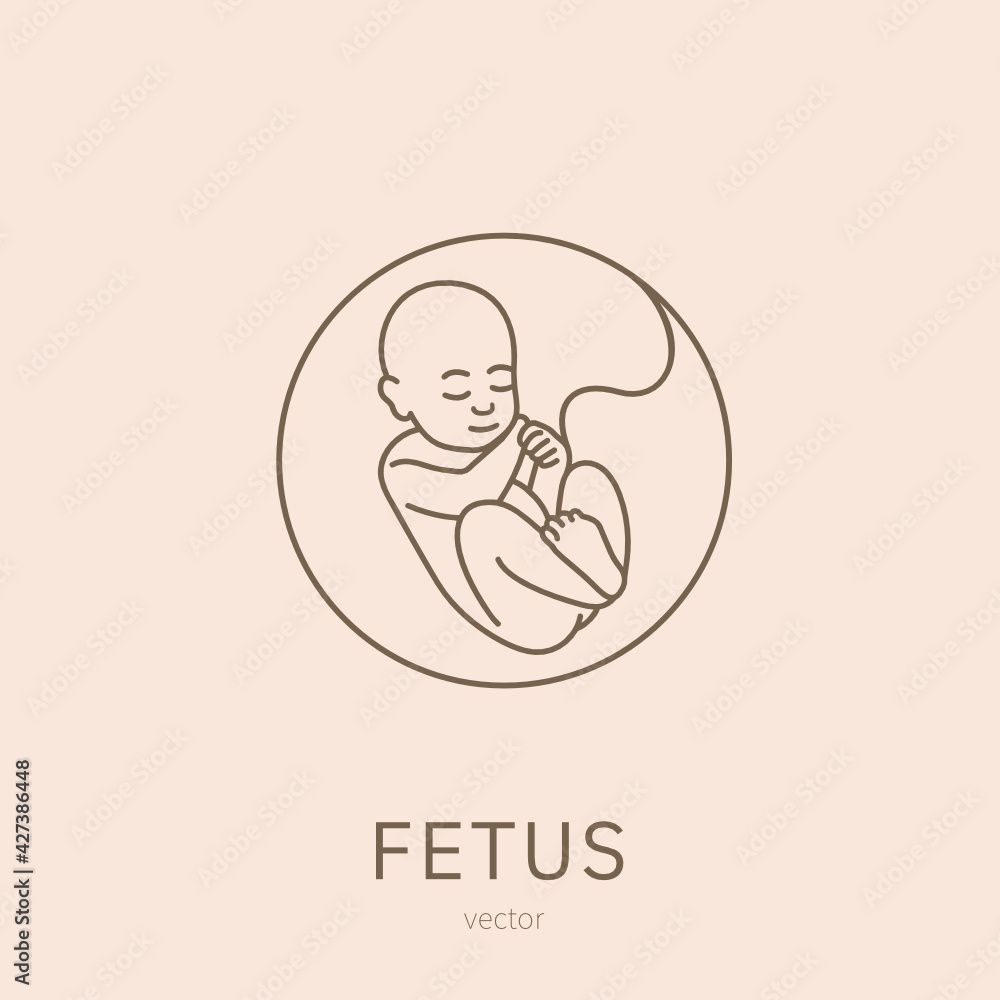 Baby in womb. Pregnancy. Fetus symbol. Round logo of embryo and ...