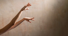 Ballerina In Hand Free Stock Photo - Public Domain Pictures