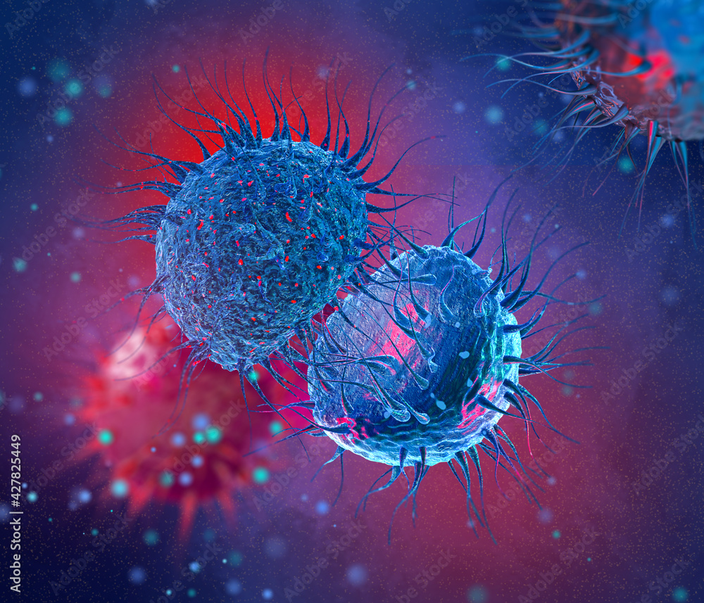 Medical abstract background, Bacteria Neisseria gonorrhoeae, Neisseria ...