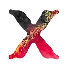 Grey Letter X Free Stock Photo - Public Domain Pictures