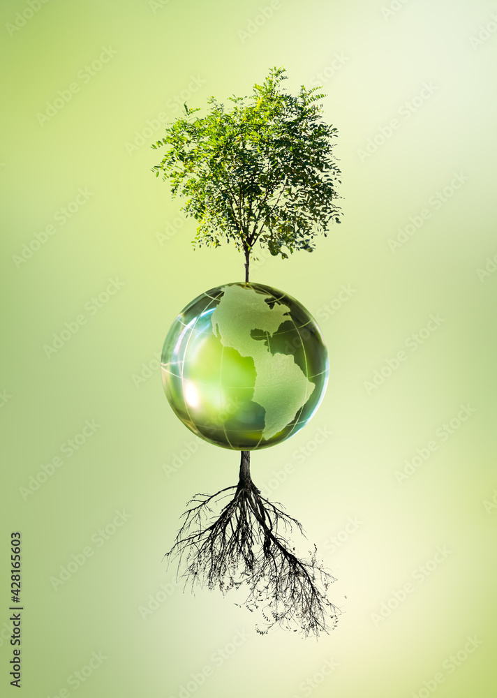 Earth Day or World Environment Day concept. Save our Planet and forest ...