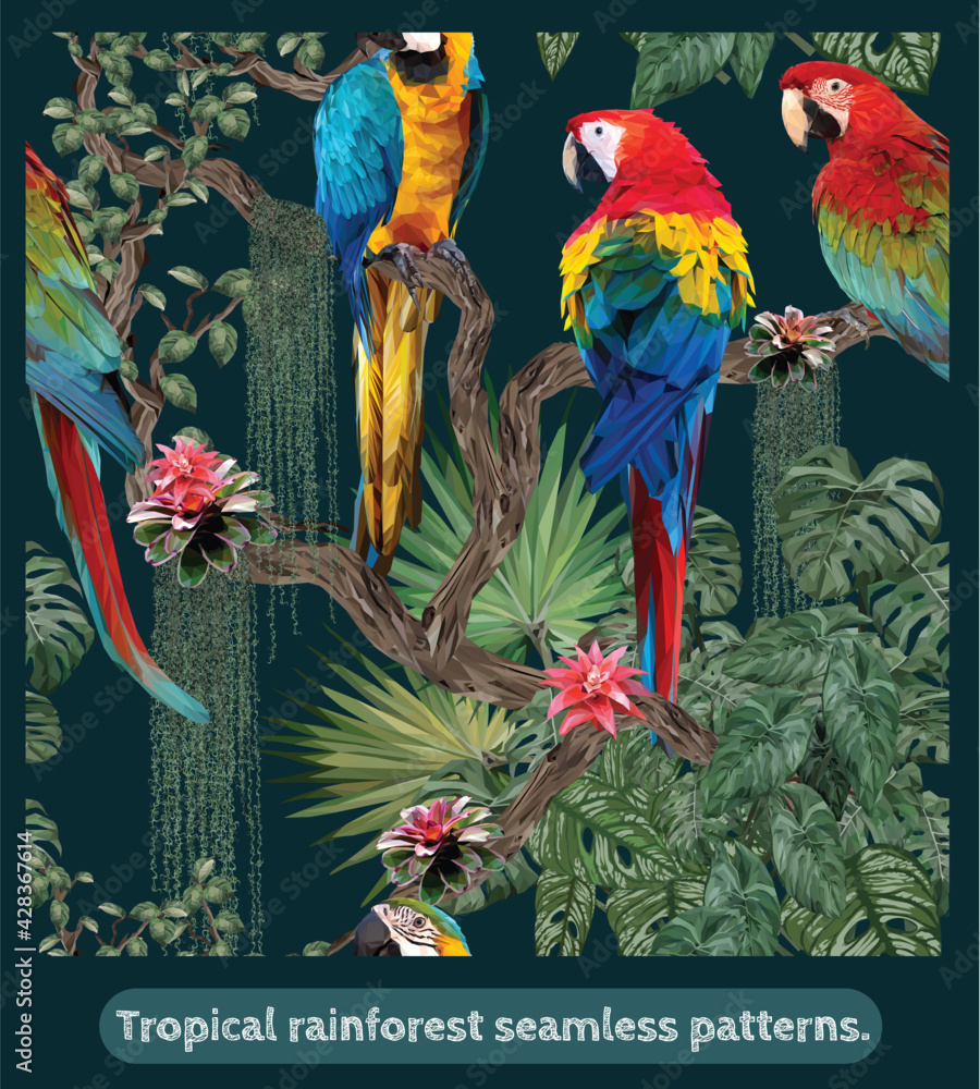 Seamless patterns Amazon tropical rainforest and macaw birds. Stock ...