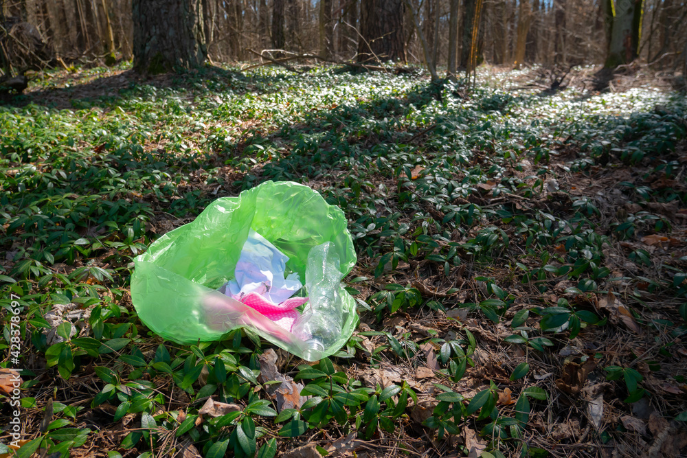 Trash around the trees in forest. Debris, Plastic waste. Environmental ...