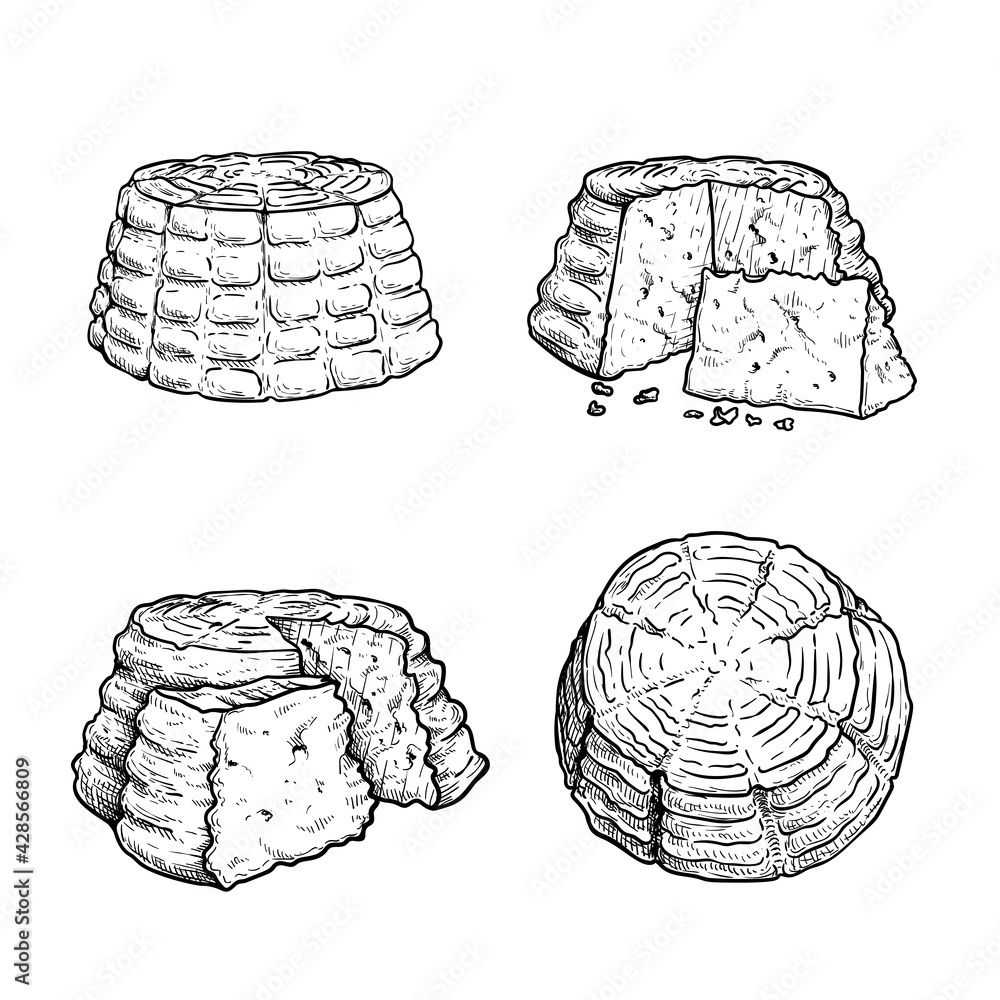 Italian cheese Ricotta set. Hand drawn sketch style drawings ...