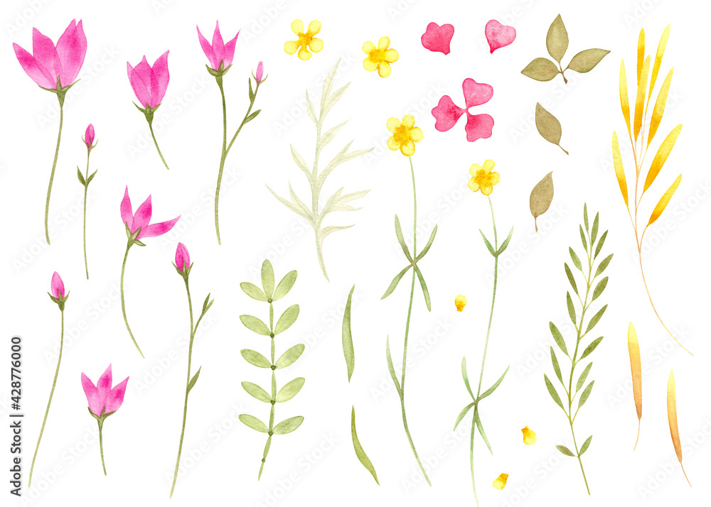 Watercolor flowers clipart set meadow summer collection Stock ...